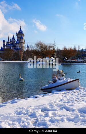 white mute swan swimming in a river Stock Photo - Alamy
