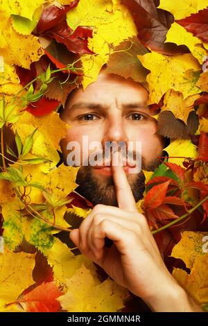 Artistic conceptual autumn portrait. Colorful leaves. Leaves of trees ...