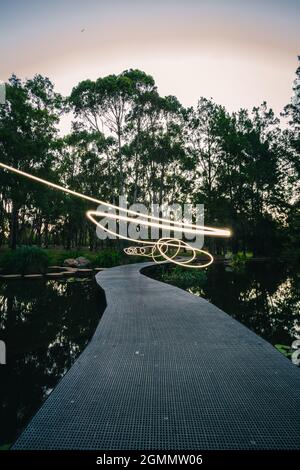 A vertical shot of a reflective lake with a dense spruce forest on its ...