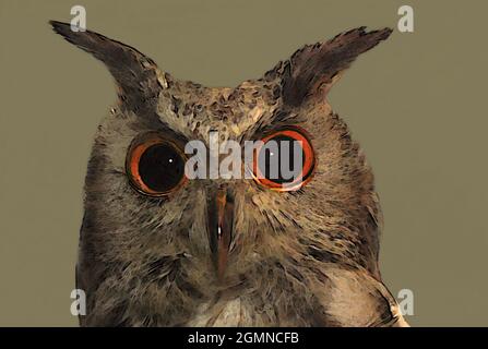 Dramatic multi-media digital art work, a blackbird in shadow perching ...