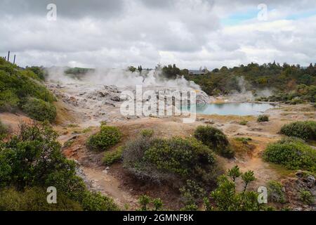 Pohutu Geyser, Whakarewarewa Reserve, Rotorua , North Island New ...