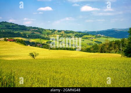 Rural landscape near Nibbiano, Piacenza province, Emilia-Romagna, Italy ...
