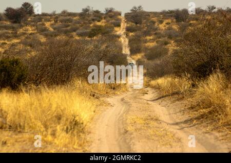 Sandy tracks on the Central Kalahari Game Reserve, Botswana Stock Photo ...