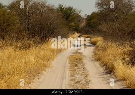 Sandy tracks on the Central Kalahari Game Reserve, Botswana Stock Photo ...