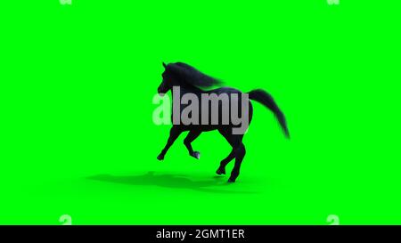 Runing black horse. Green screen isolate. 3d rendering Stock Photo - Alamy