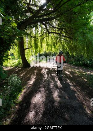 A beautiful shot of a river flowing through a green forest Stock Photo ...