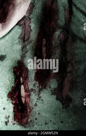 Zombie body with wound isolated over white background Stock Photo - Alamy
