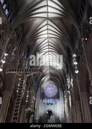 Nidaros Cathedral, cathedral, stained glass, rose window, Trondheim ...