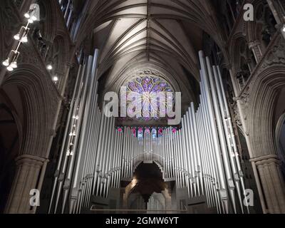 Nidaros Cathedral, cathedral, stained glass, rose window, Trondheim ...