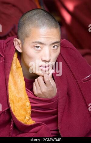 A monk in maroon robes holding a staff and a steel alms bowl standing ...