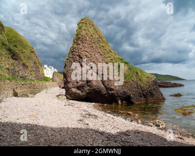 Seaweed at Cushendun Caves, County Antrim, Northern Ireland Stock Photo ...