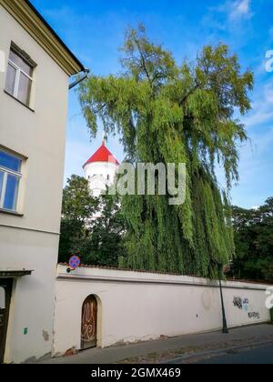 VILNIUS, LITHUANIA - Aug 19, 2021: The old wooden historical building ...