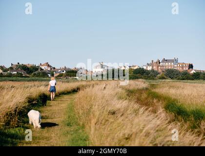 The summer landscape of the Vale of Slaughden, Slaughden Marsh ...