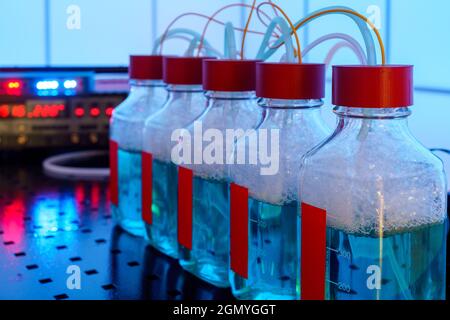 Biohydrogen production research Stock Photo - Alamy