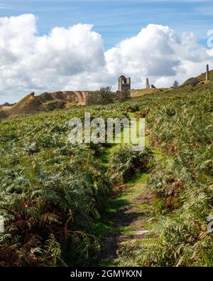 South Caradon Mines Bodmin Moor Cornwall Stock Photo - Alamy
