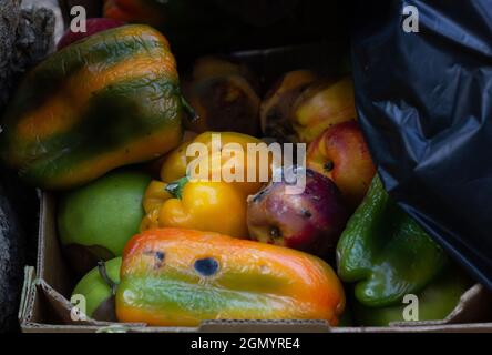 Rotten fruit and orange peppers in trash cardboard box. Vegetable shop ...