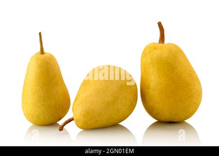 Italian yellow coscia pear, isolated on white background,copy space ...