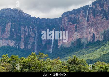 Tepui (table mountain) Auyan in National Park Canaima, Venezuela Stock ...
