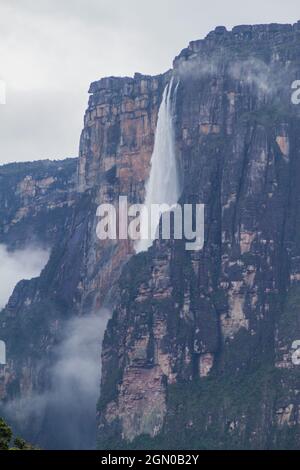 Angel Falls at the table mountain Auyan Tepui, the world's highest ...