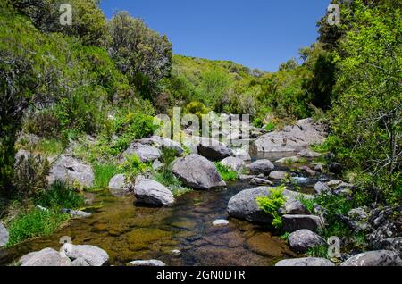 Beautiful view of the famous Lajeado canyon in Madeira, Portugal Stock ...
