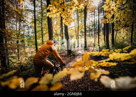A man rides his bike through a forest in Wehrheim near Frankfurt ...