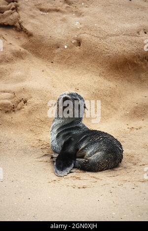 Angola; southern part of Namibe Province; popular beach in Namibe town ...