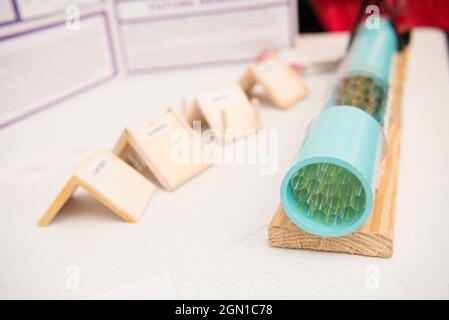 Exhibition of science project containing blue tube with green tubes ...