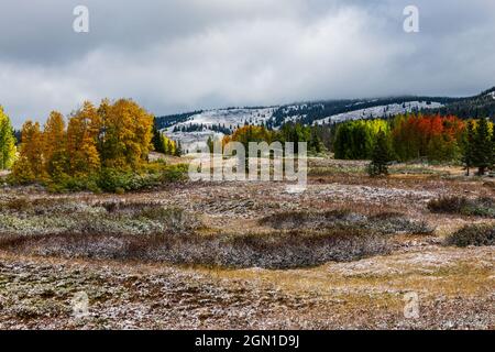 Early September snow with fall colors in the high country in Colorado ...