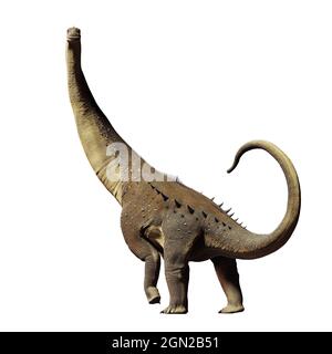 Titanosaurus, dinosaur from the Late Cretaceous period isolated on ...
