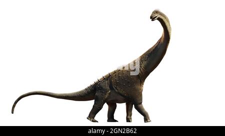 Titanosaurus, dinosaur from the Late Cretaceous period isolated on ...