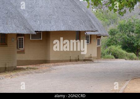 Row of traditional thatched roof rondawels or cottage huts in Olifants ...