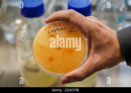 Halle, Germany. 22nd Sep, 2021. Students (l-r) Taufiq El-Mokdad and ...