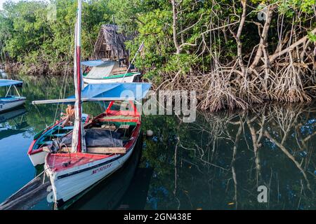 BOCA DE MIEL, CUBA - FEB 4, 2016: Fishing boats anchored at Rio Miel ...