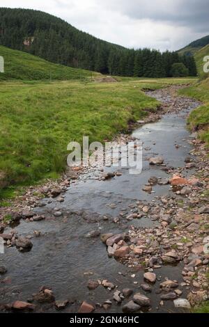 River Alwin, Kidland Forest, Upper Coquetdale, Northumberland, UK Stock ...