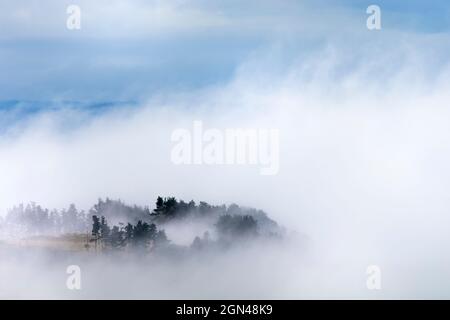 Misty landscape, Redesdale, Northumberland, UK Stock Photo - Alamy