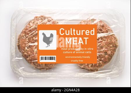 Concept for cultured chicken meat, an artificial in vitro cell culture ...