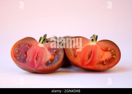 Tomato primora isolated on light background Stock Photo - Alamy