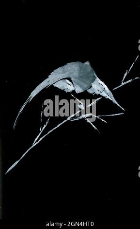 0033 - Brush and Ink - Bird Watcher Vector Rebuild Stock Photo - Alamy