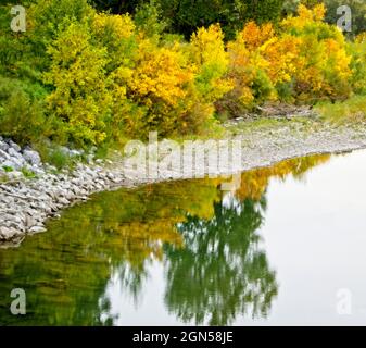 Fall season with a body of water surrounded by trees and bushes by the ...