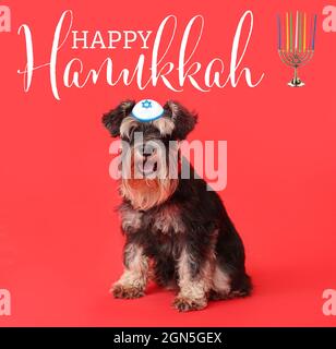 Greeting card for Happy Hannukah with funny Jewish rabbits Stock Photo ...