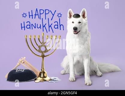 Greeting card for Happy Hannukah with funny Jewish rabbits Stock Photo ...