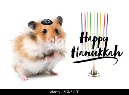 Greeting card for Happy Hannukah with funny Jewish rabbits Stock Photo ...