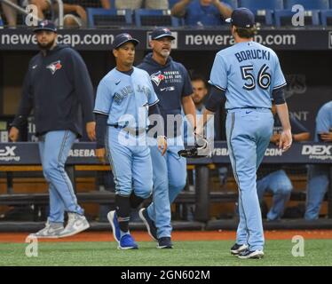 Toronto Blue Jays pitching coach Pete Walker talks to catcher Tyler ...
