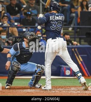 Tampa Bay Rays catcher Danny Jansen throws as home plate umpire Adam ...