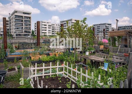 gardening - symbol photo Stock Photo - Alamy