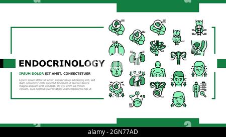 Endocrinology web banner or landing page. Endocrine system organs ...
