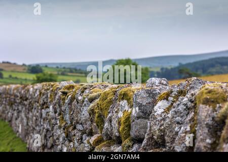 Traditional Dry Stone Wall Dartmoor Devon England Stock Photo - Alamy