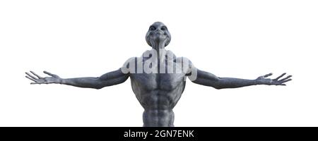 3d illustration of a muscled grey alien with arms back while looking ...
