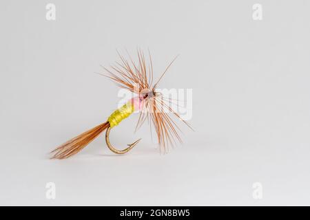 fishing fly Tups Indespensible dry fly Trout fly Stock Photo - Alamy