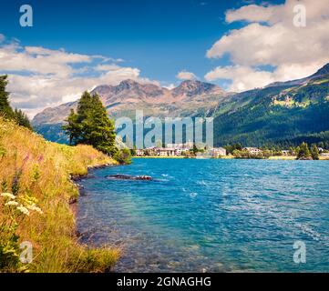 Summer sunny view of Sils im Engadin village. Picturesque outdoor scene ...